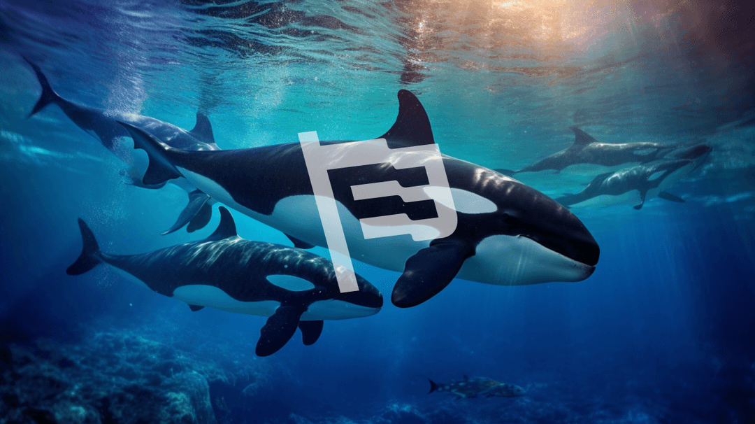 Flipt | Open Source Feature Management